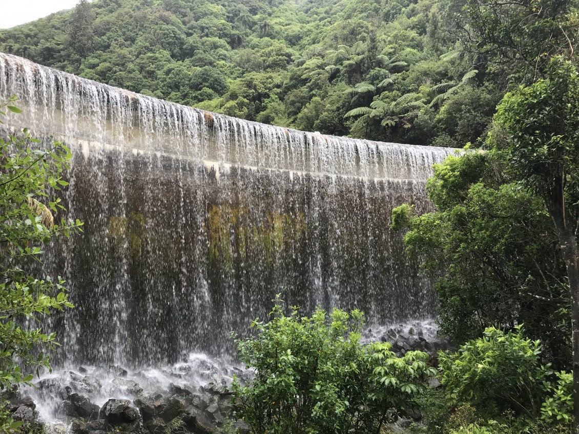Greater Wellington Regional Council — Akatarawa Forest
